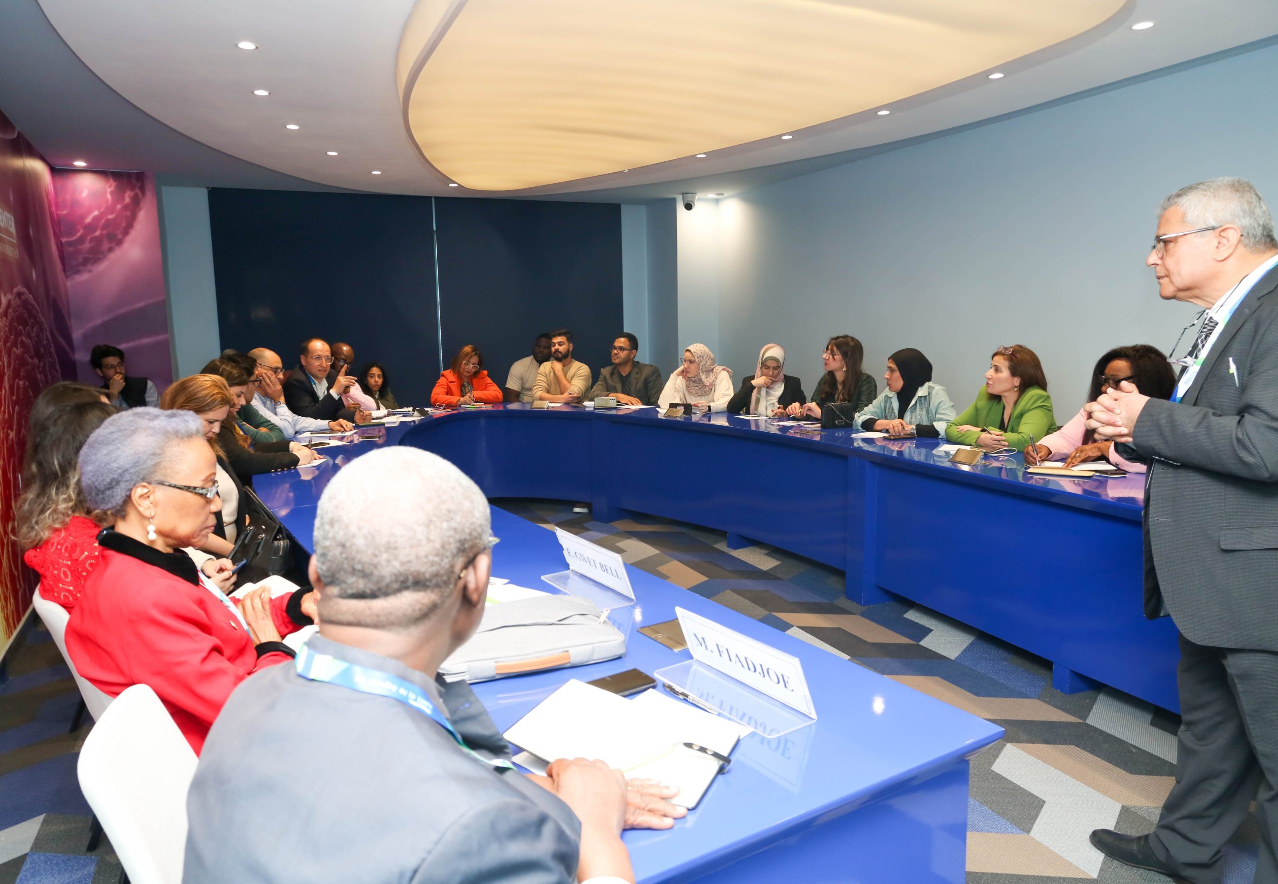 The AFFS Pre-Congress Day - Medical simulation center